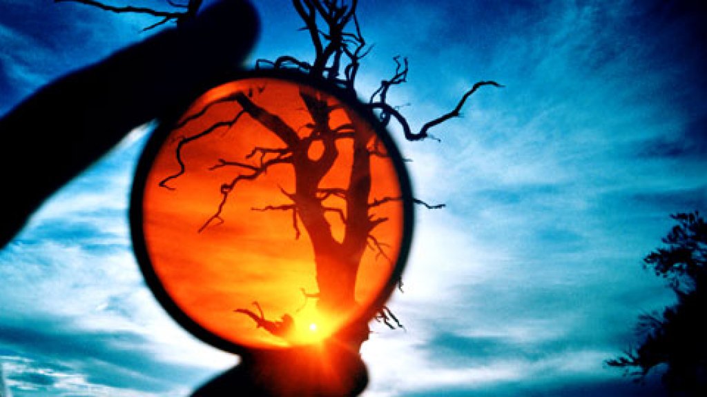 4 Secrets of Great Critical Thinkers | Inc.com