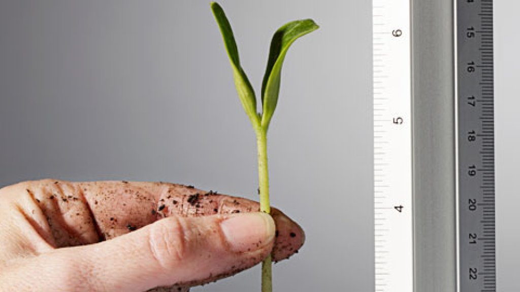 3 Fundamental Shifts You Need To Make To Scale Your Business | Inc.com