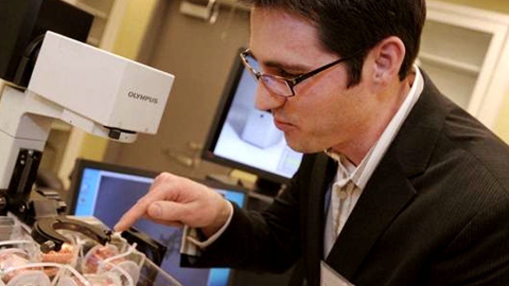 From Old Pfizer Campus to Start-up Hub | Inc.com