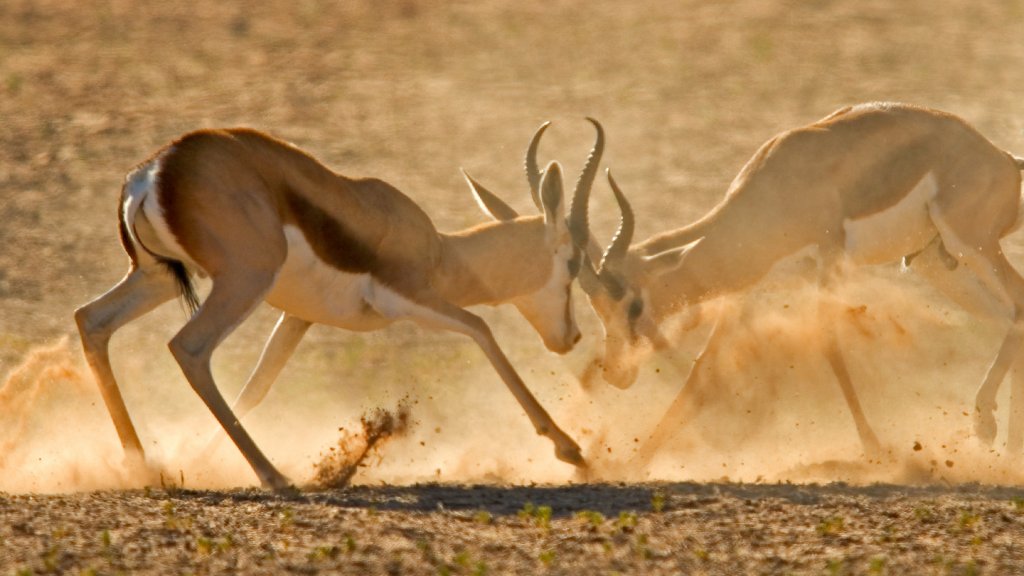 Power Struggle? Why Your Top Performers Fight and What to Do About It ...