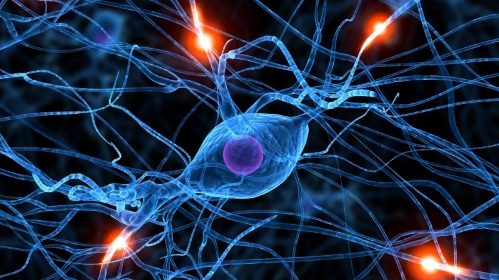 Science: Yes, It's Possible to Grow New Brain Cells | Inc.com