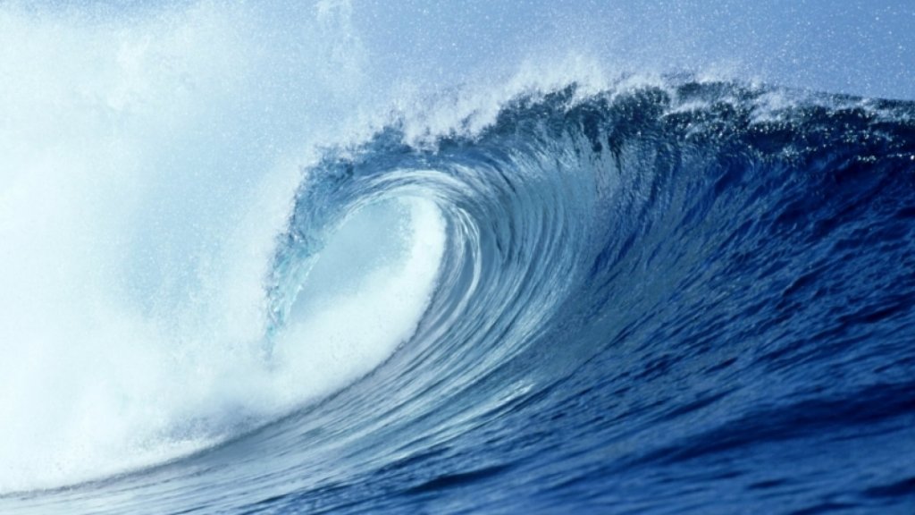 Making Waves: Great Leaders and Companies Always Question Themselves ...