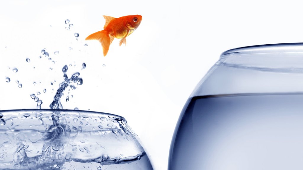 Make the Most of Your Last Two Weeks on the Job With These 8 Critical ...