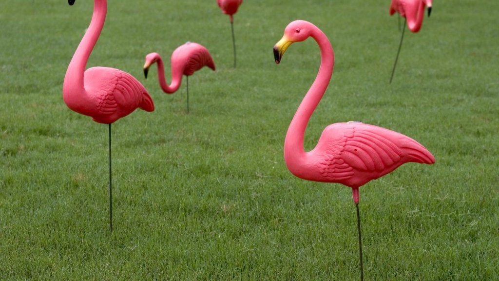 One Major Design Lesson From the Creator of Plastic Pink Flamingos ...