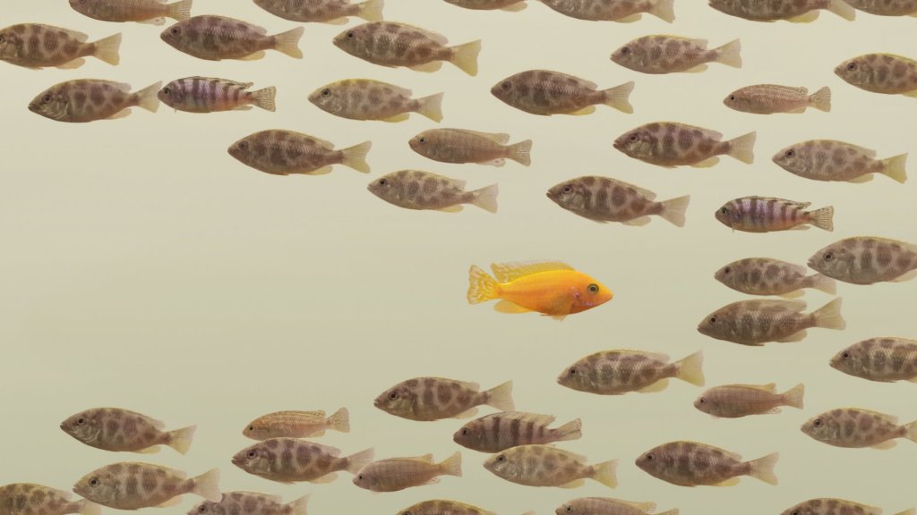 Resistance is Futile: Why Fighting Change is Bad For Your Career | Inc.com