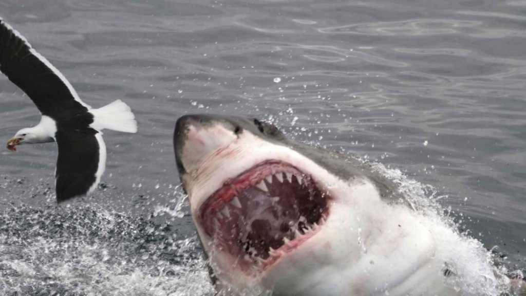 3 Steps to Keep Your New Product From Cannibalizing Your Existing ...