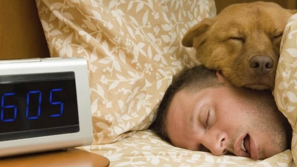 4 Things That Kill Sleep and Productivity | Inc.com