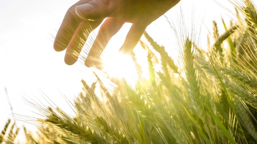 3 Keys to Long-Term Prosperity, Health, and Happiness | Inc.com