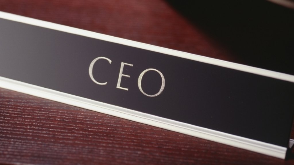 Top 5 Reasons You Do, and Don't, Want to be CEO of Your Own Startup ...
