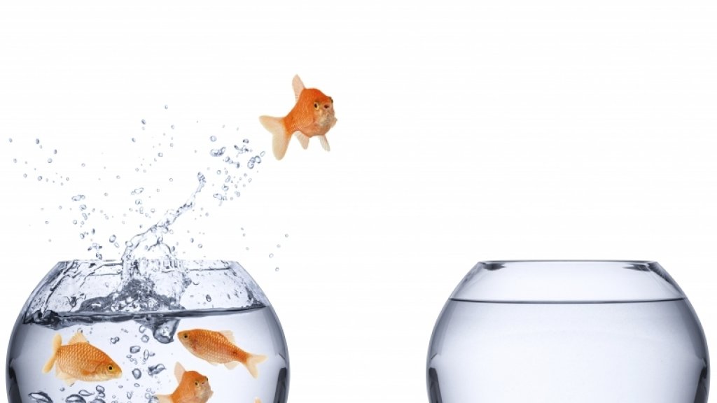 How To Turn Obstacles Into Opportunities | Inc.com