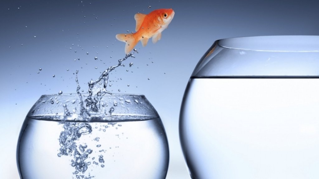 4 Steps to Break the Patterns That Undermine Your Success and Happiness ...