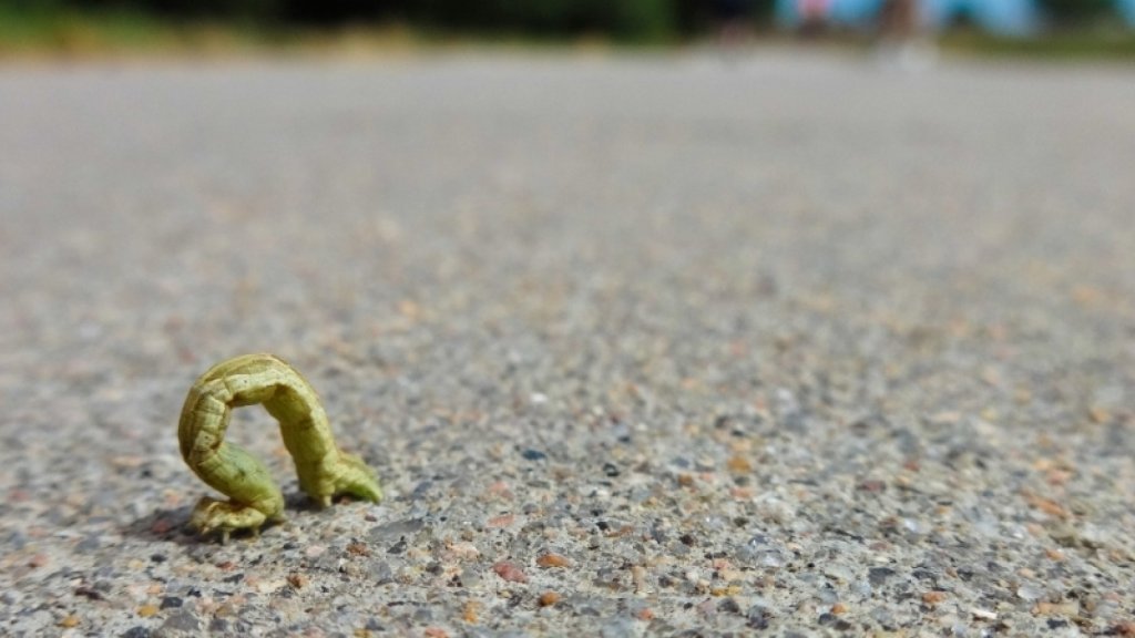 Forget the Extra Mile--Go the Extra Inch | Inc.com