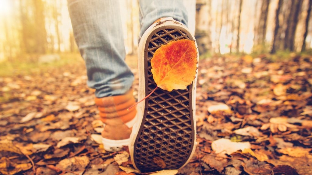 17 Heartwarming Quotes to Prepare You for Fall | Inc.com