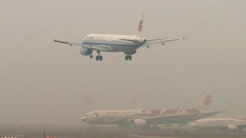 What a Year Without Flying Taught Me About Responsibility, Empathy, and ...