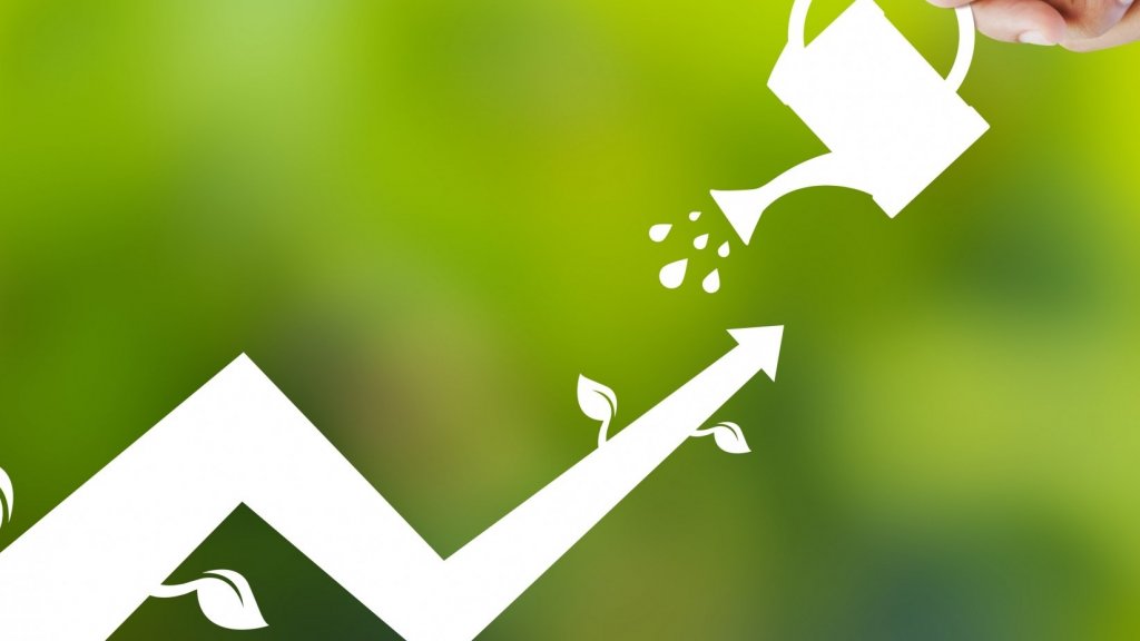 Learn How to Turn Your Passion into Sweet-Smelling Success from a Top ...