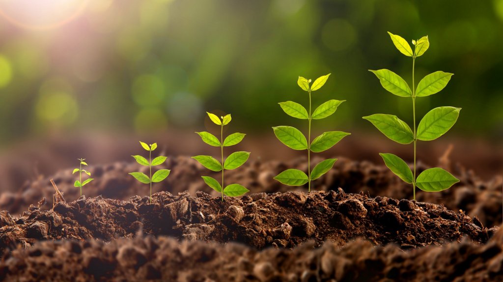 How to Build the Right Team for Business Growth | Inc.com