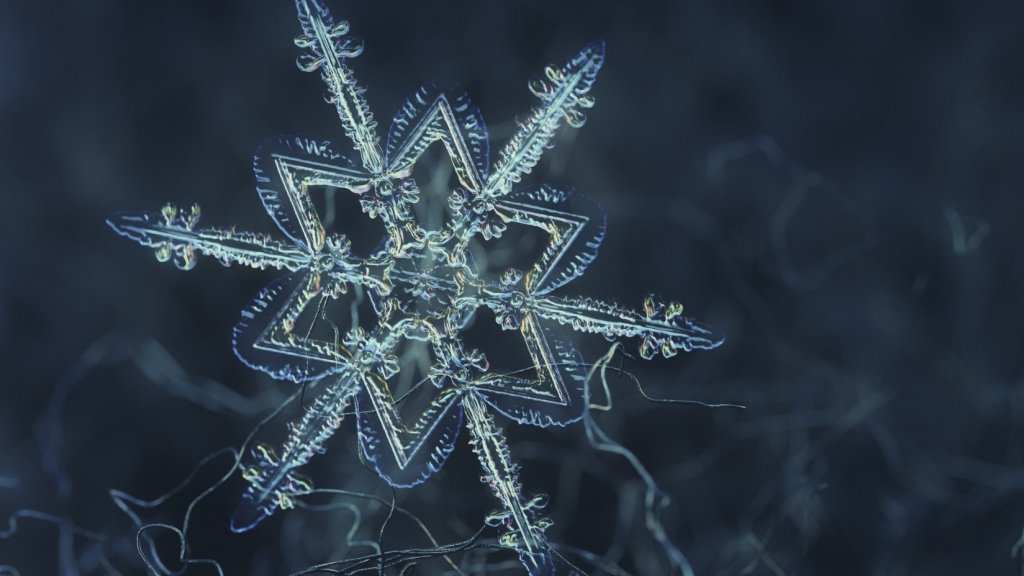 This CEO Makes Millennials Take His Snowflake Test (It May Make You ...