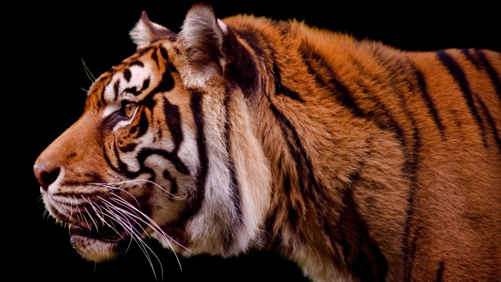 Do You Intimidate Others? Here's How to Know | Inc.com