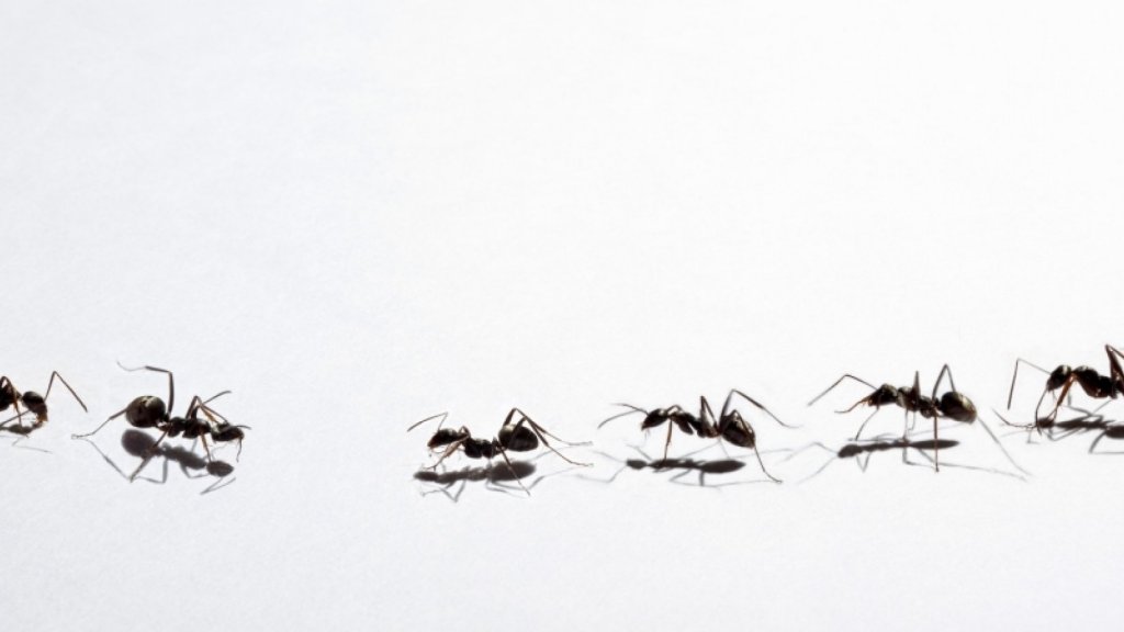 The Secrets to Debugging Your Brain | Inc.com