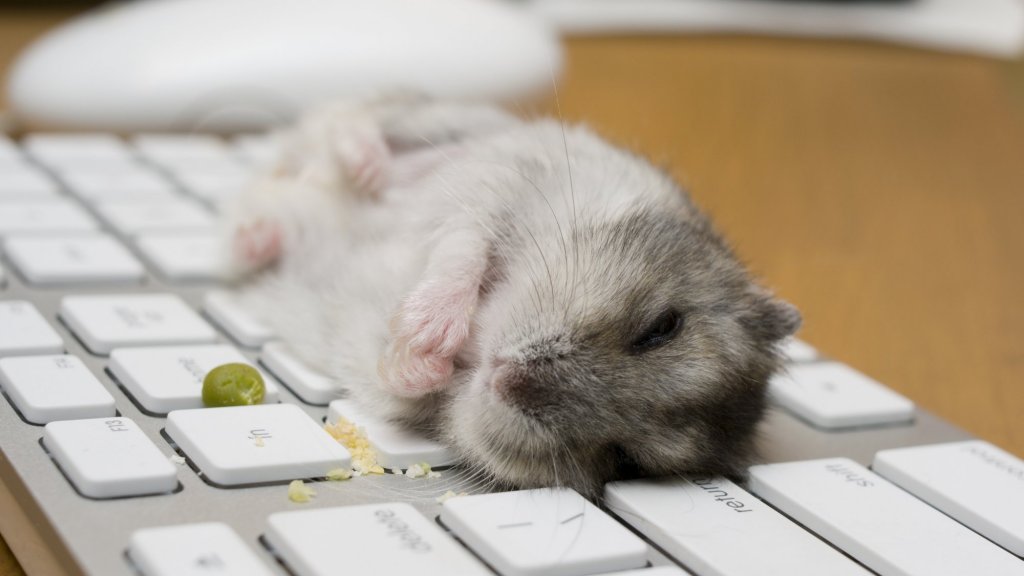 The 9 Signs You're Not Being Productive at Work (Infographic) | Inc.com
