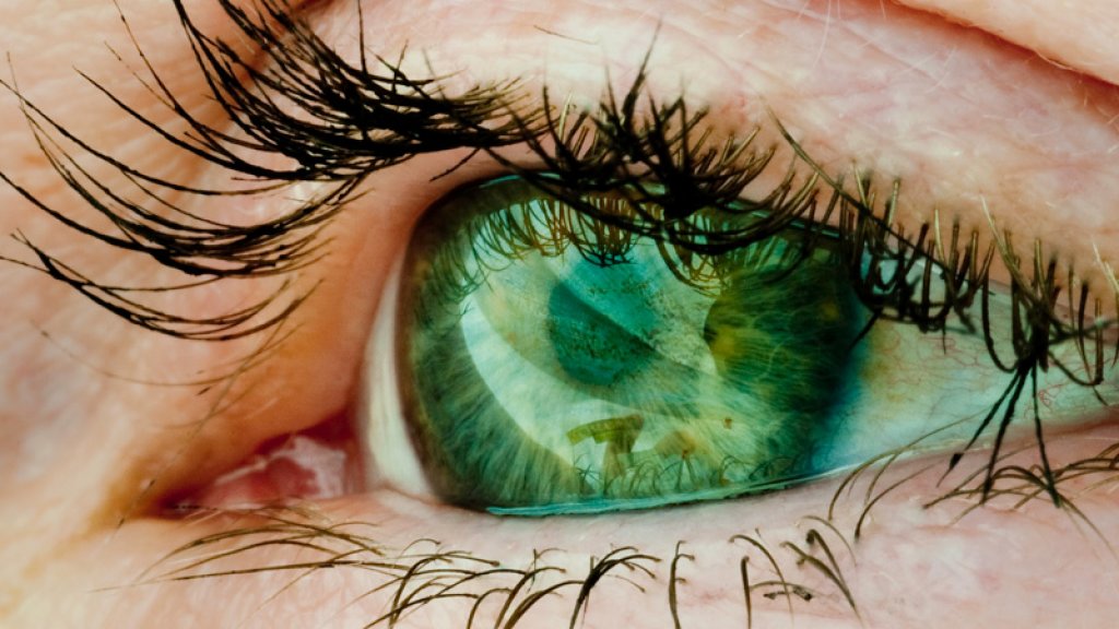 How to Root Out Envy Before it Rots Your Office | Inc.com