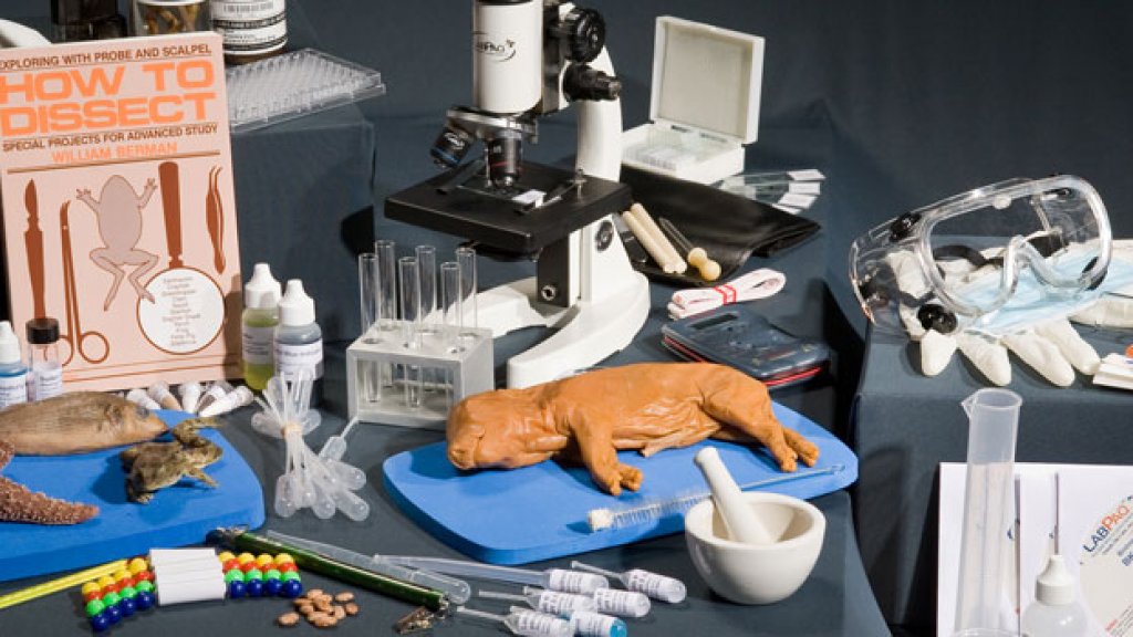How I Tripled My Business Making DIY Lab Kits | Inc.com