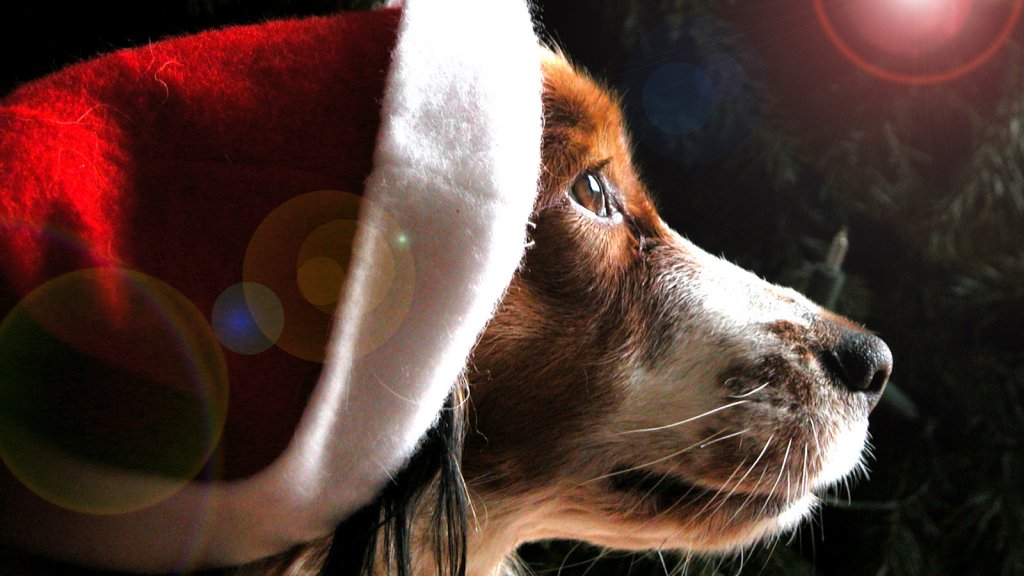 An Introvert's Guide to Surviving a Holiday Party | Inc.com