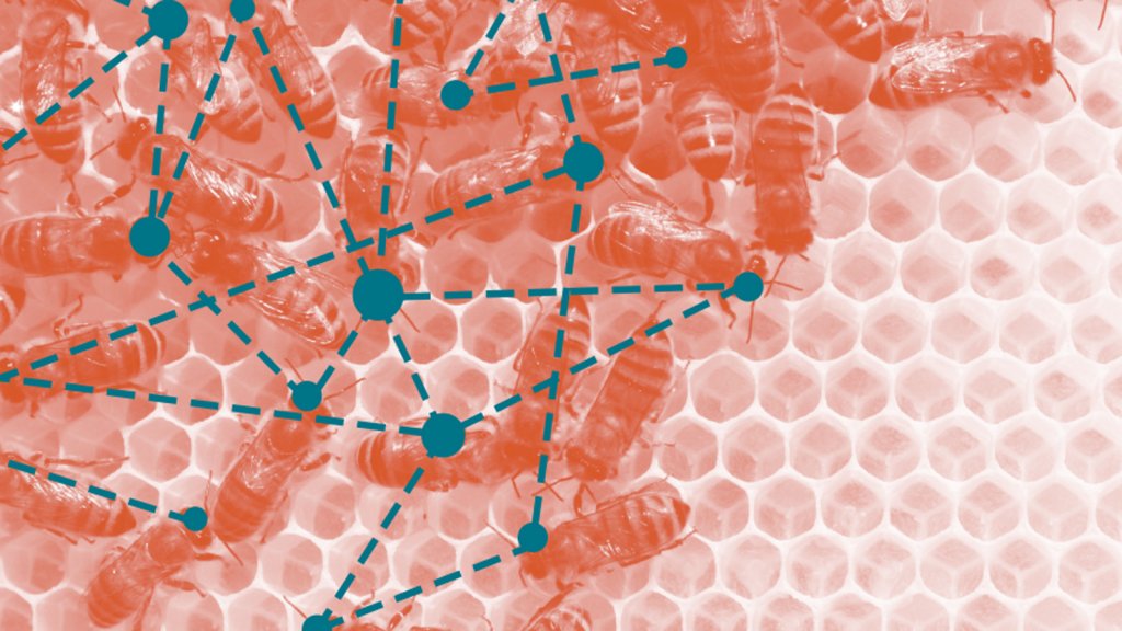 How to Build a Network From Scratch | Inc.com