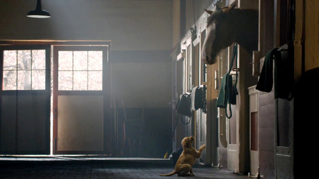 Why Budweiser's 'Puppy Love' Is the All-Time Most Popular Super Bowl Ad ...