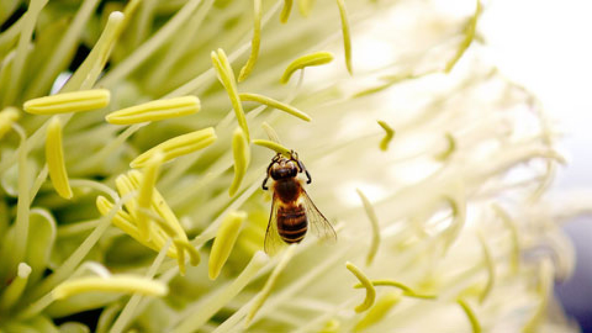 Hire Like Google: 5 Ways | Inc.com