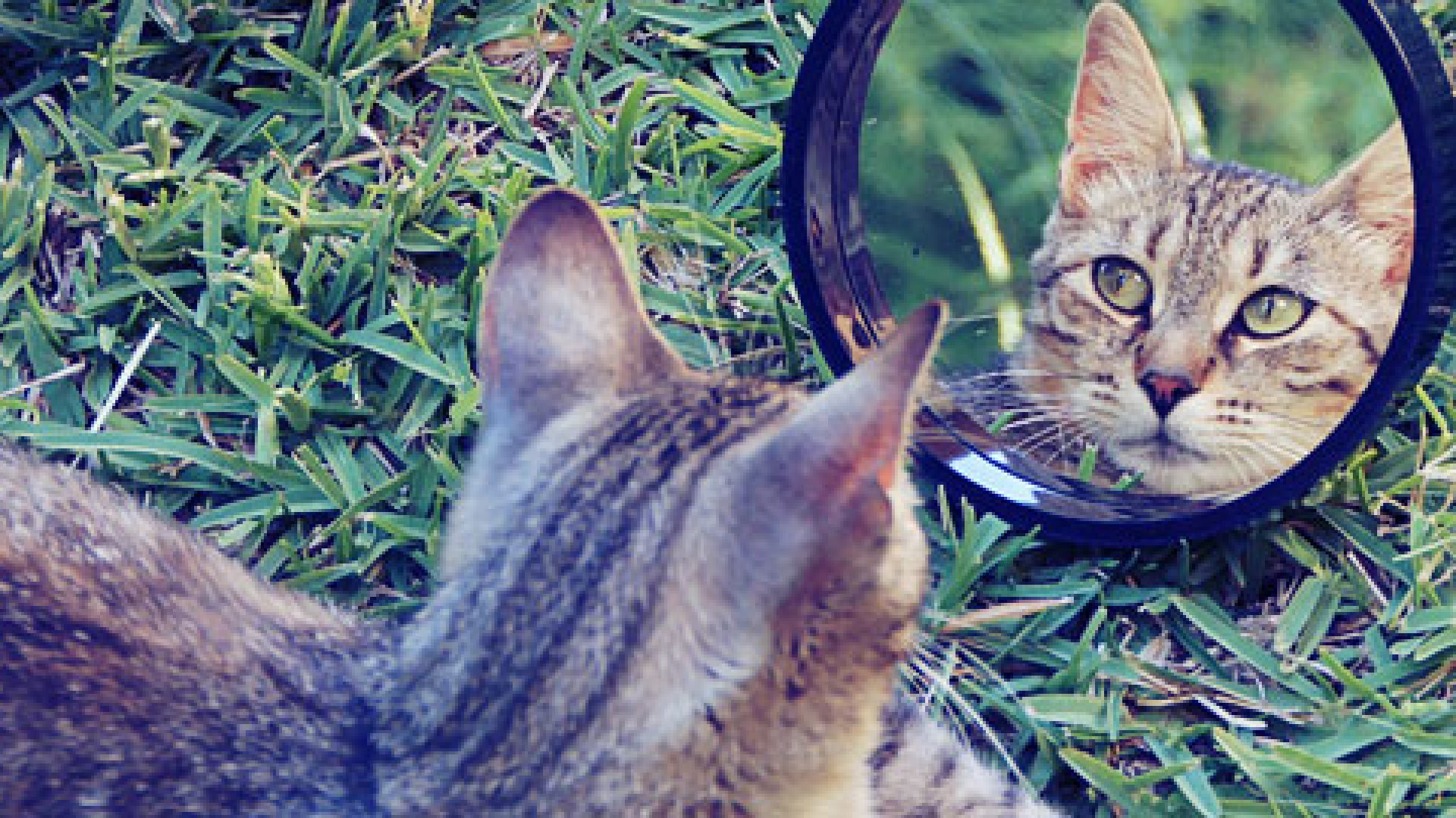 Is Your Ego Blocking Your Success? | Inc.com