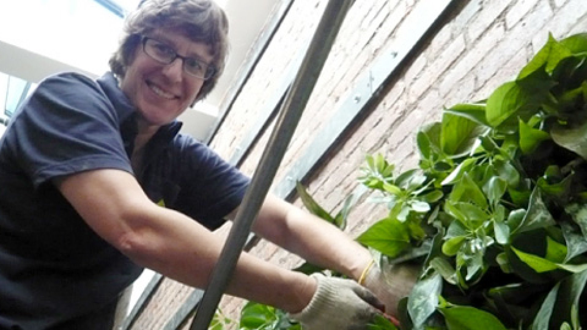 From Nonprofit to For-Profit Success | Inc.com