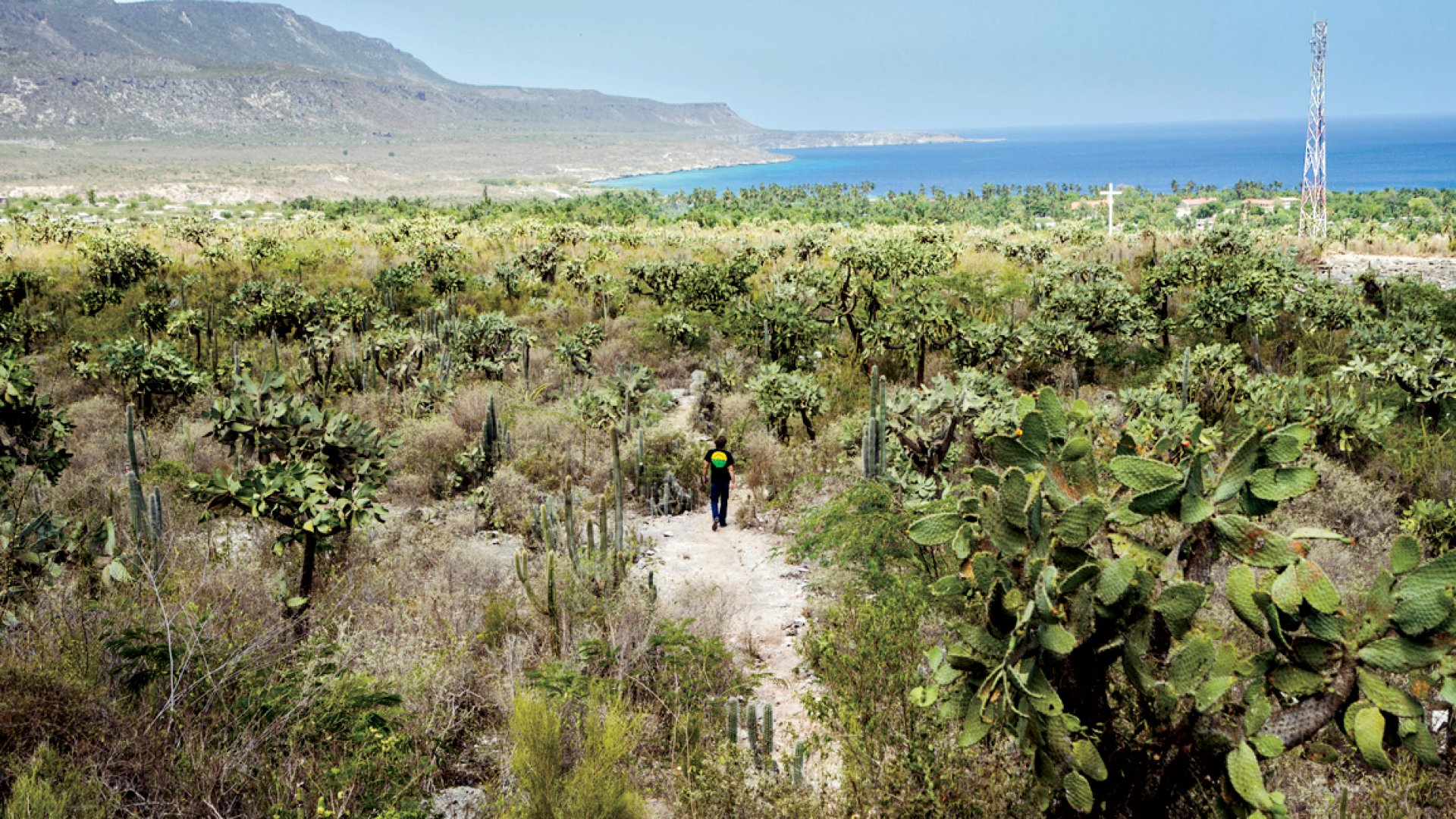 How to Make Millions by Saving the Planet | Inc.com