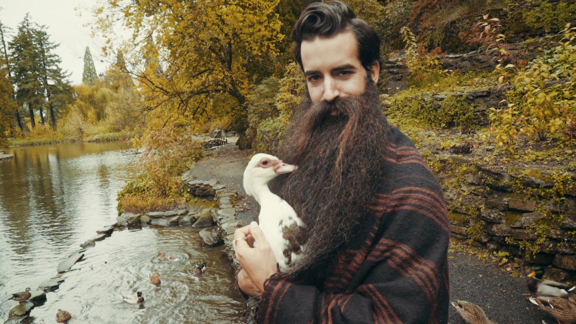 How This Startup Is Using Influencer Marketing, Viral Videos, and ...