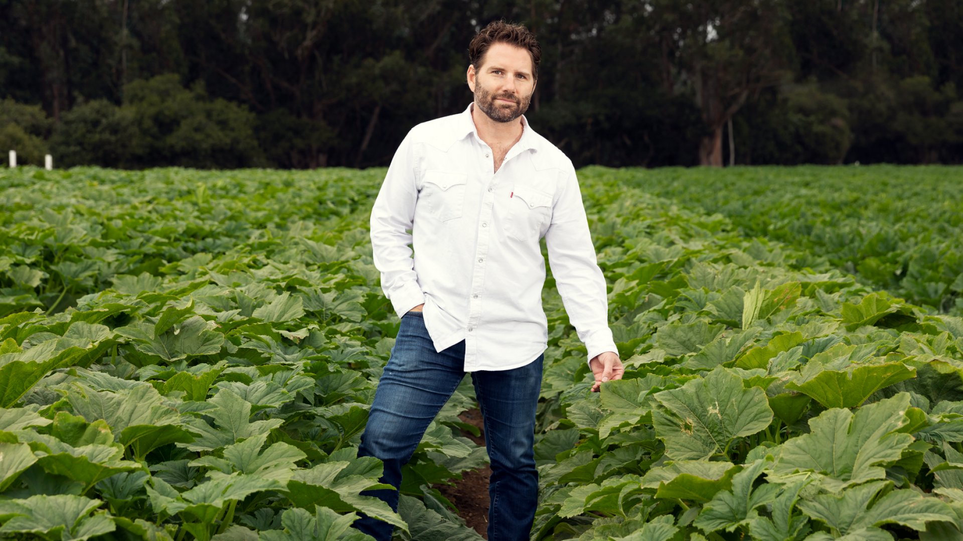 These 3 Incredibly Fast-Growing Startups Have Bizarre Origin Stories ...