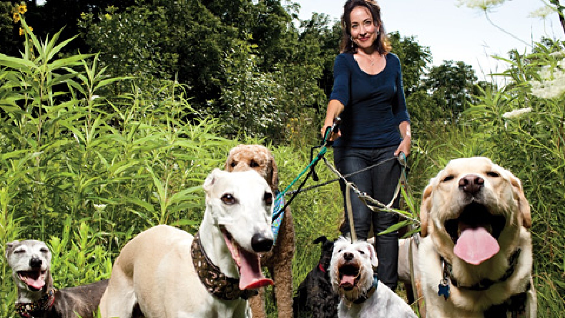 Start-Ups 2010: A Dog Lover Builds a $5 Million Business | Inc.com