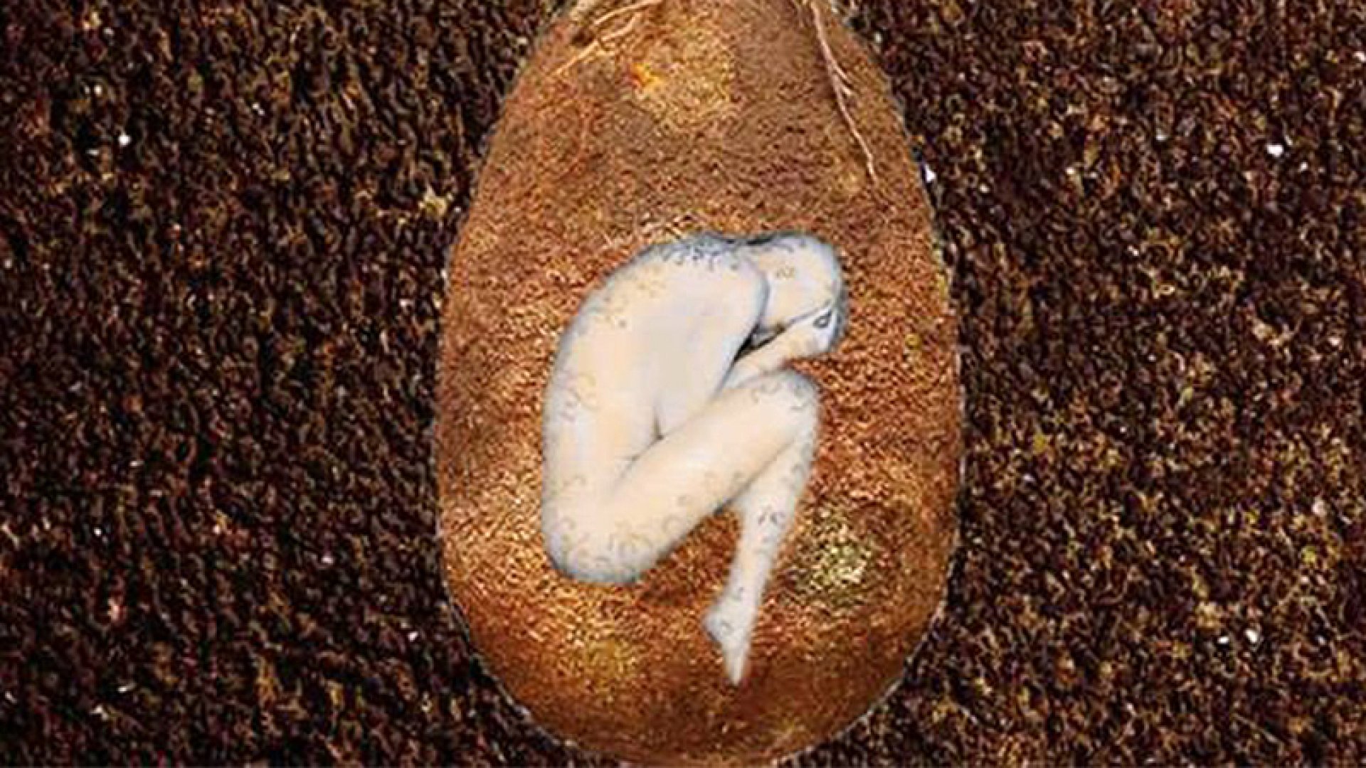 3 Unexpected Things You Can Have Done With Your Ashes After You Die ...