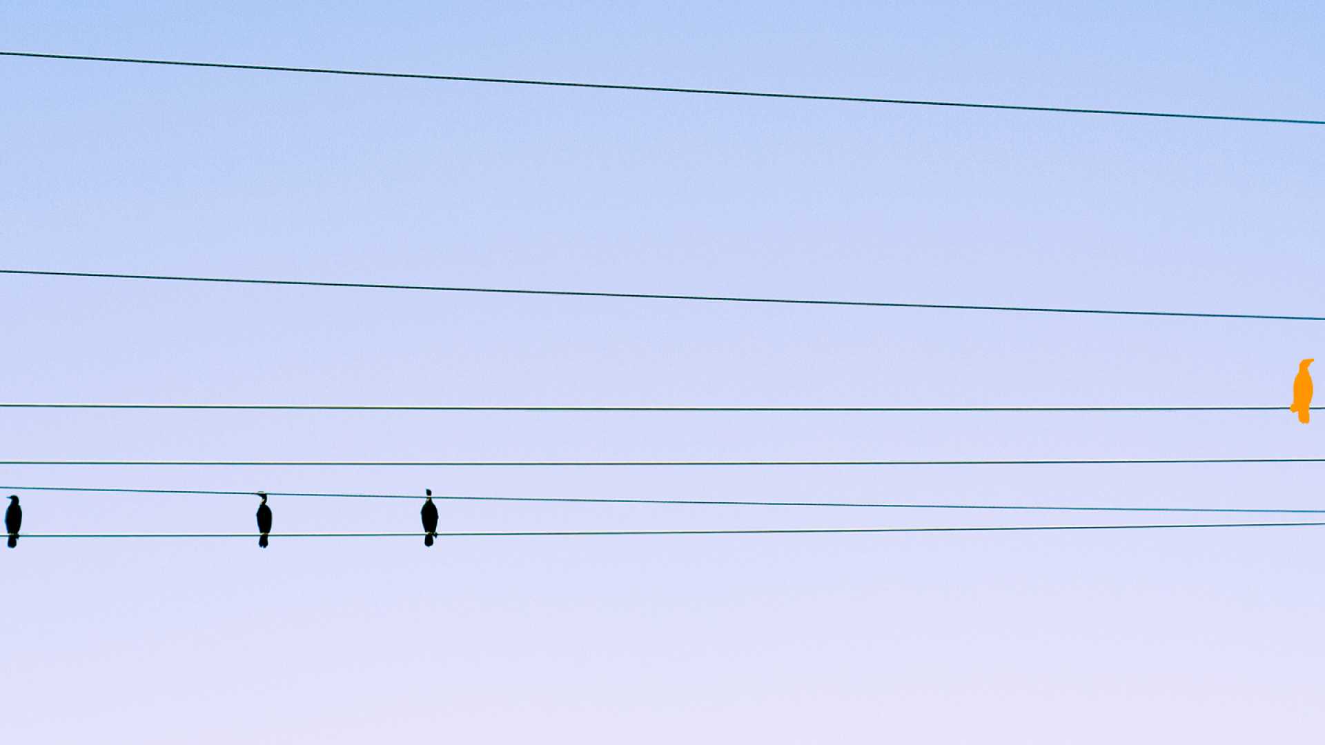 Tap Into Y Combinator's Contrarian Thinking | Inc.com