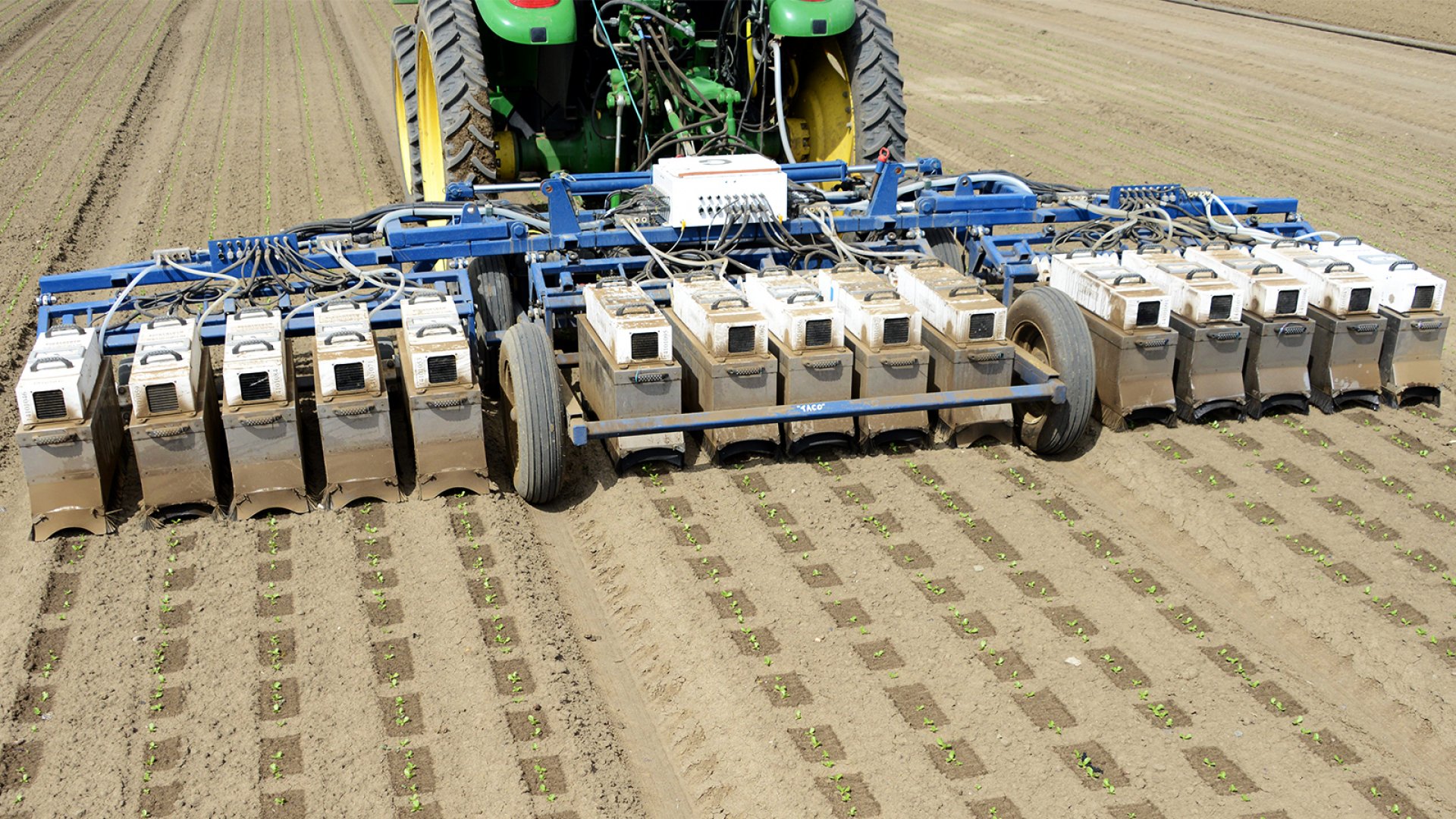 Lettuce-Weeding Robots, Coming Soon to a Farm Near You | Inc.com