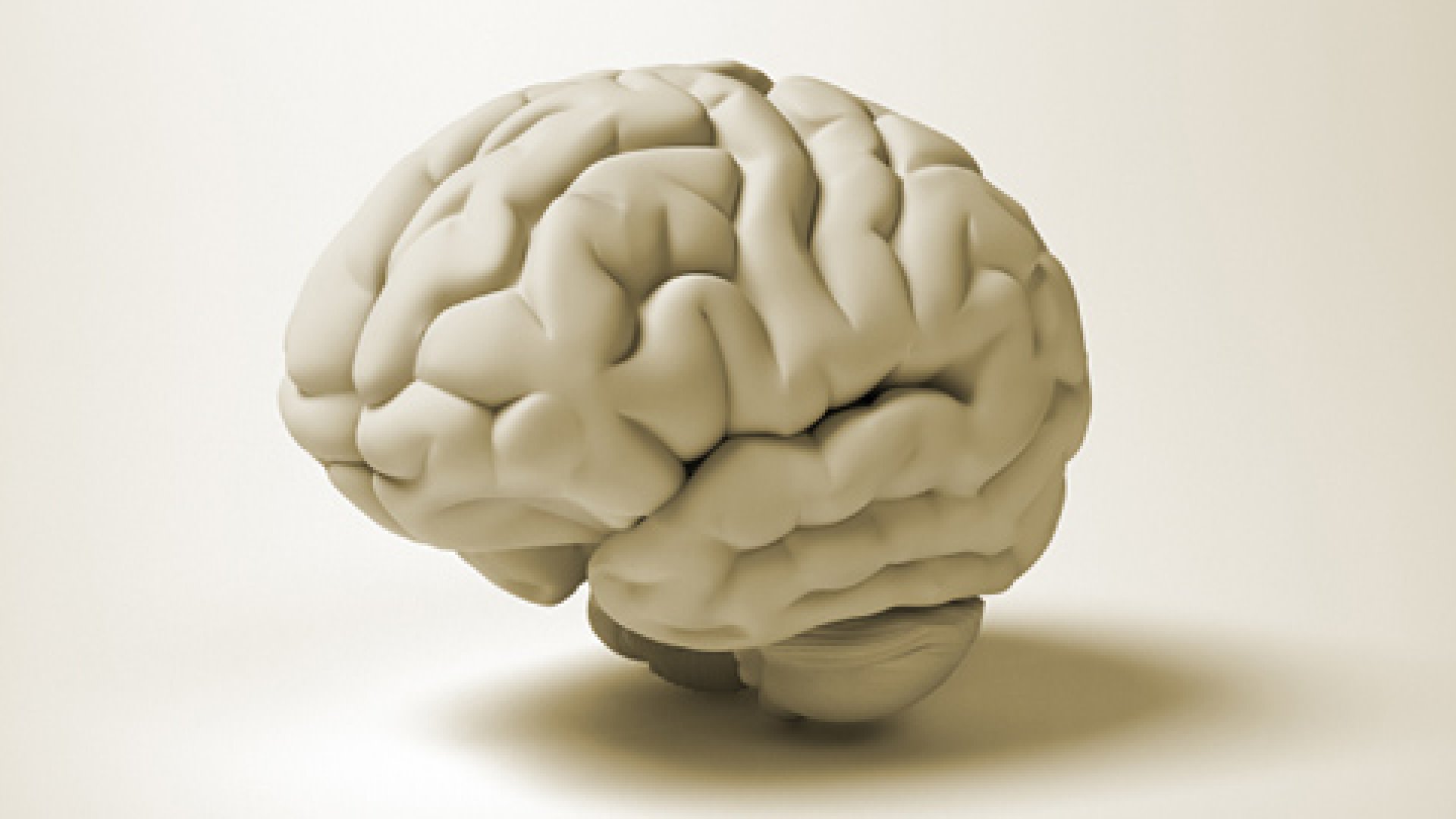 You're Wired to Be a Leader | Inc.com