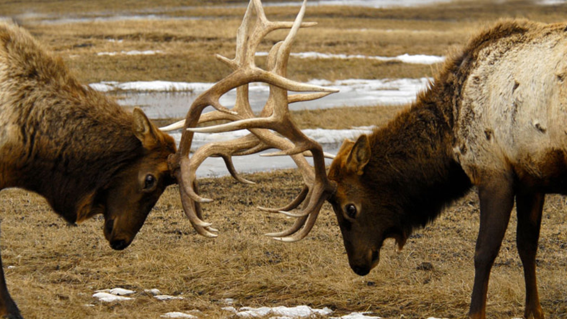 Butting Heads Over a Key Decision? How to Break the Logjam | Inc.com