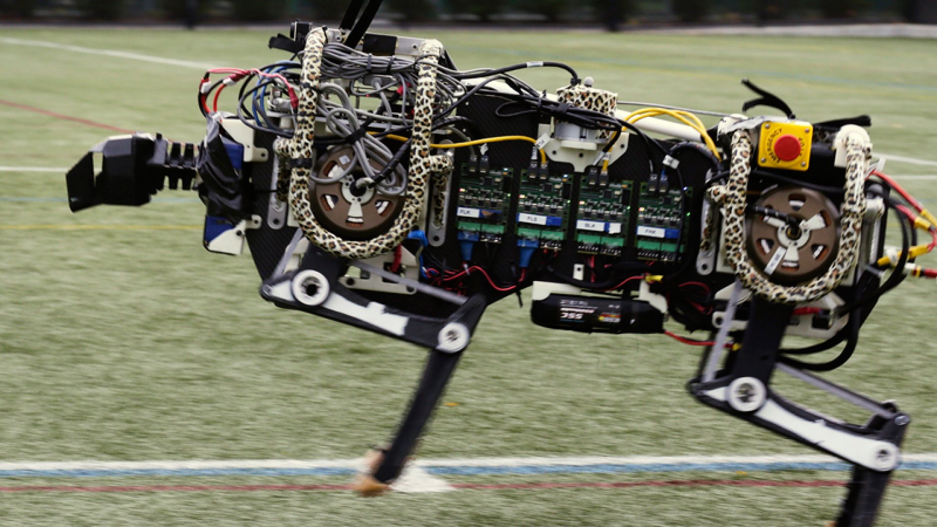MIT Engineers Have High Hopes for Cheetah Robot | Inc.com