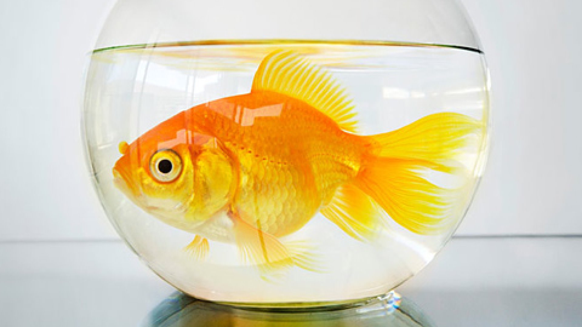 5 Steps for Managing Your Start-up's Hypergrowth | Inc.com