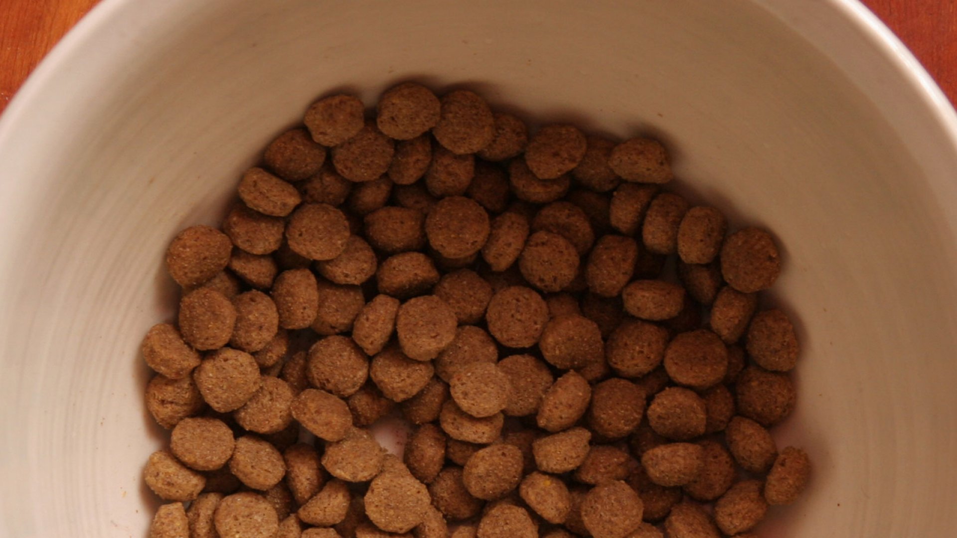 Eat Your Own Dog Food, Don't Drink the Kool-Aid | Inc.com