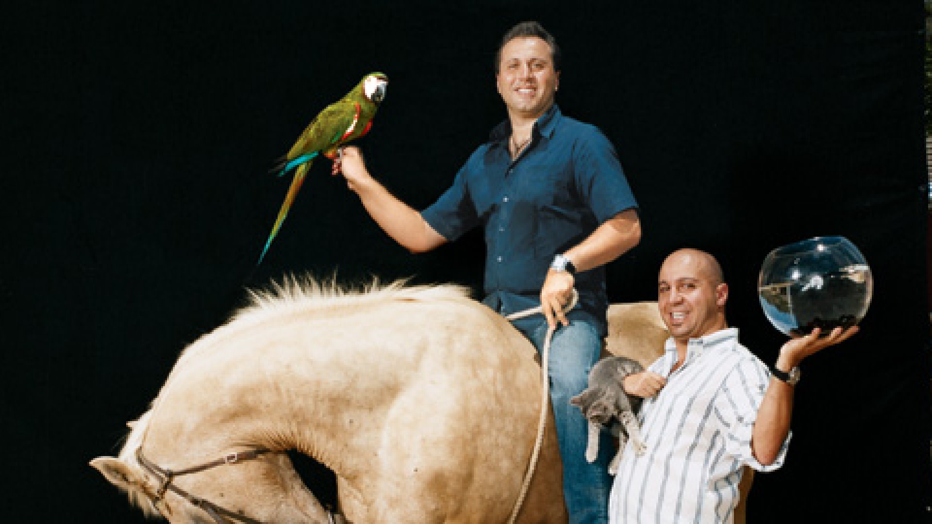 How I Did It: Alexander Tabibi, CEO, Pets United | Inc.com