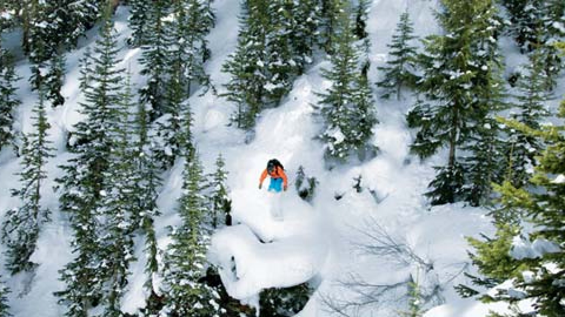 Start-Ups 2010: Turning a Passion for the Slopes Into a Business | Inc.com