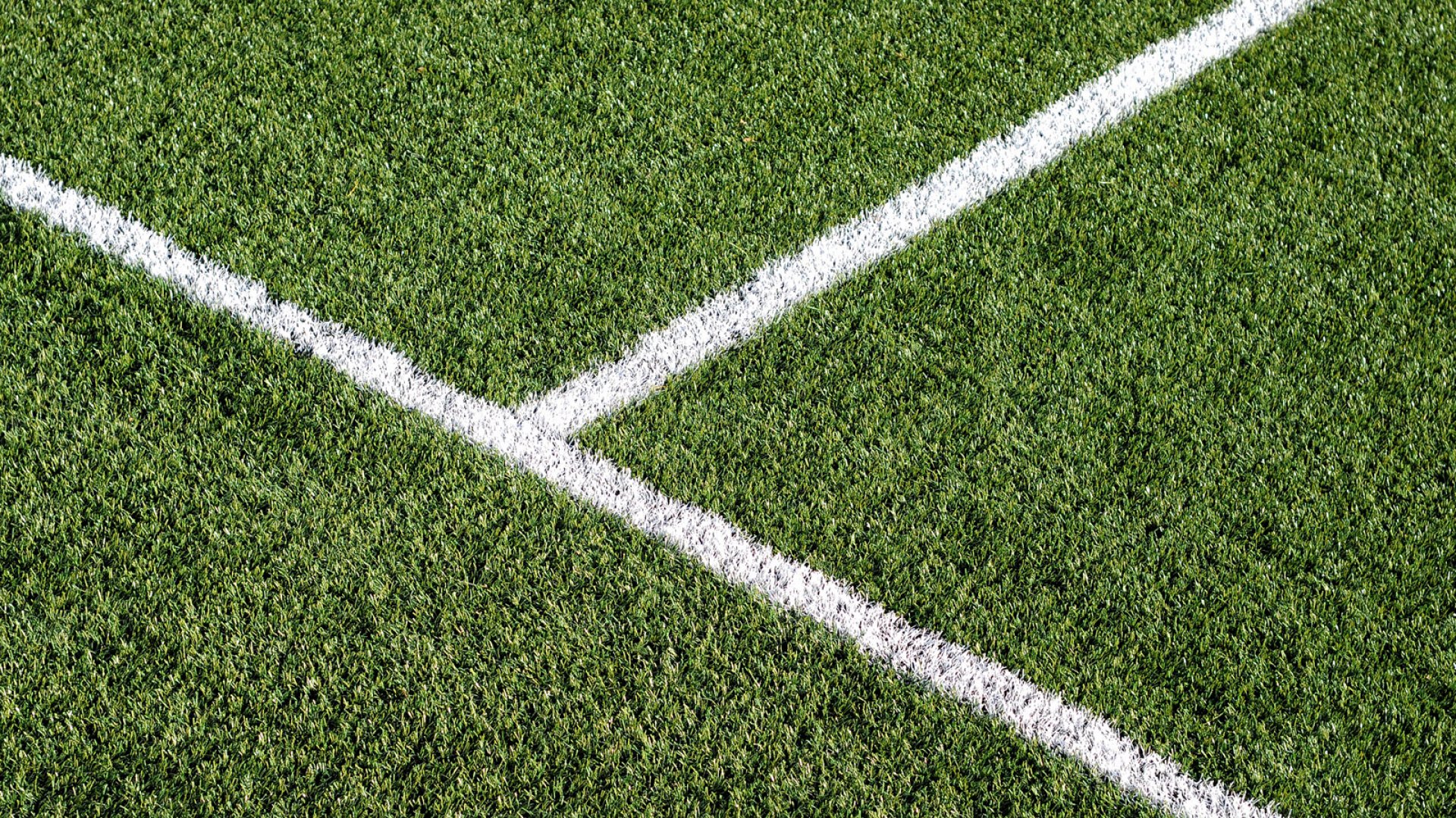 Small-Business Owners Can Play a Big Role in Leveling the Playing Field ...