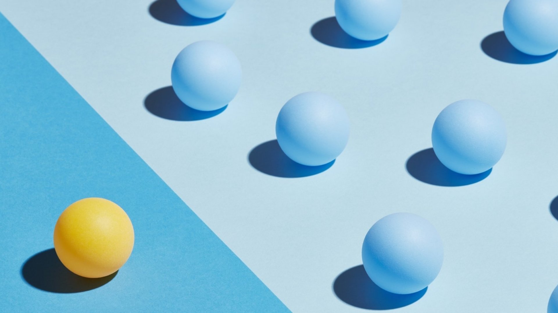 Want to Start a Business to Capture an Unserved Market? Build Your Own ...