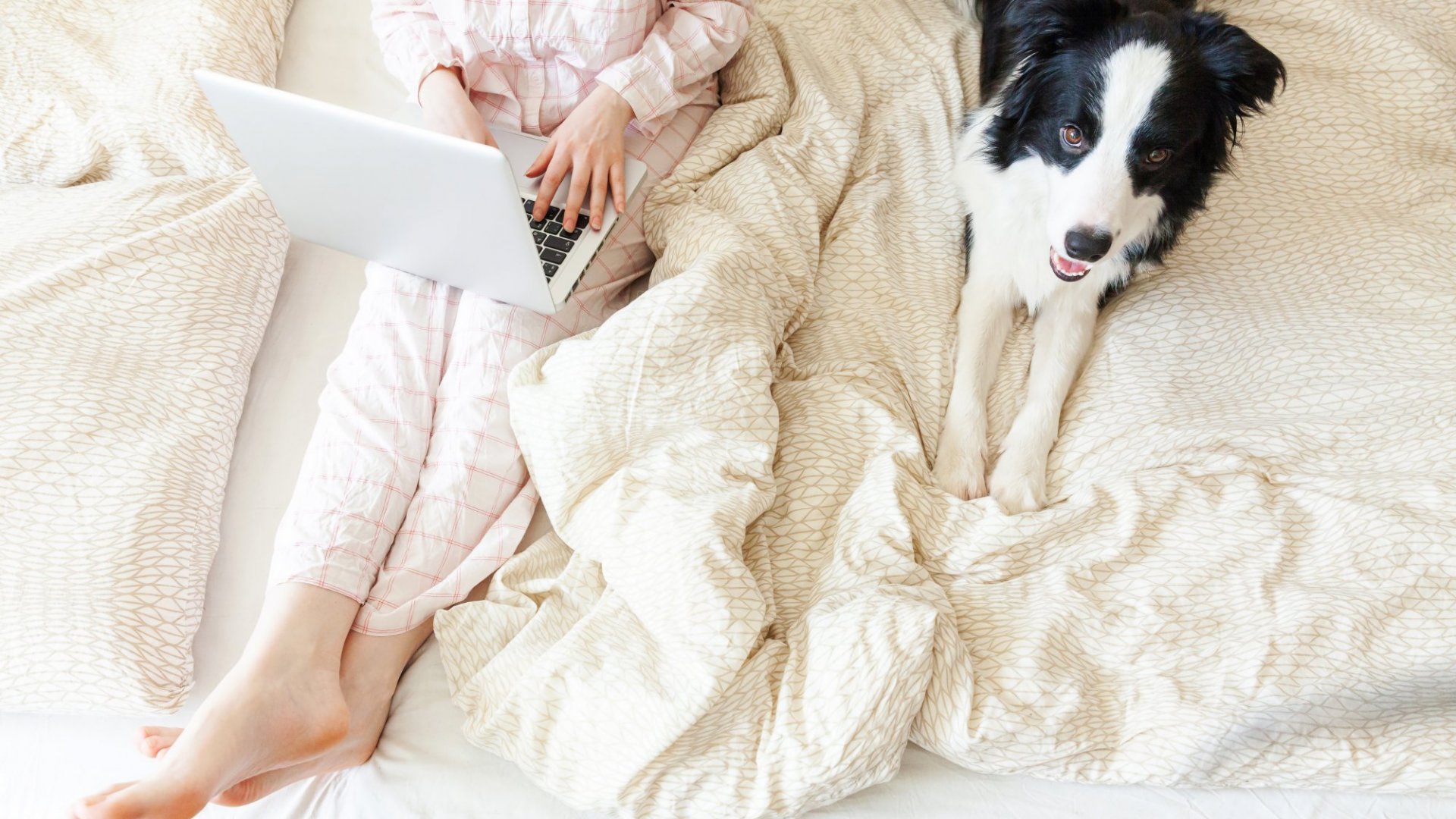 A Judge's Request Highlights Why You Need a Telecommuting Dress Code ...