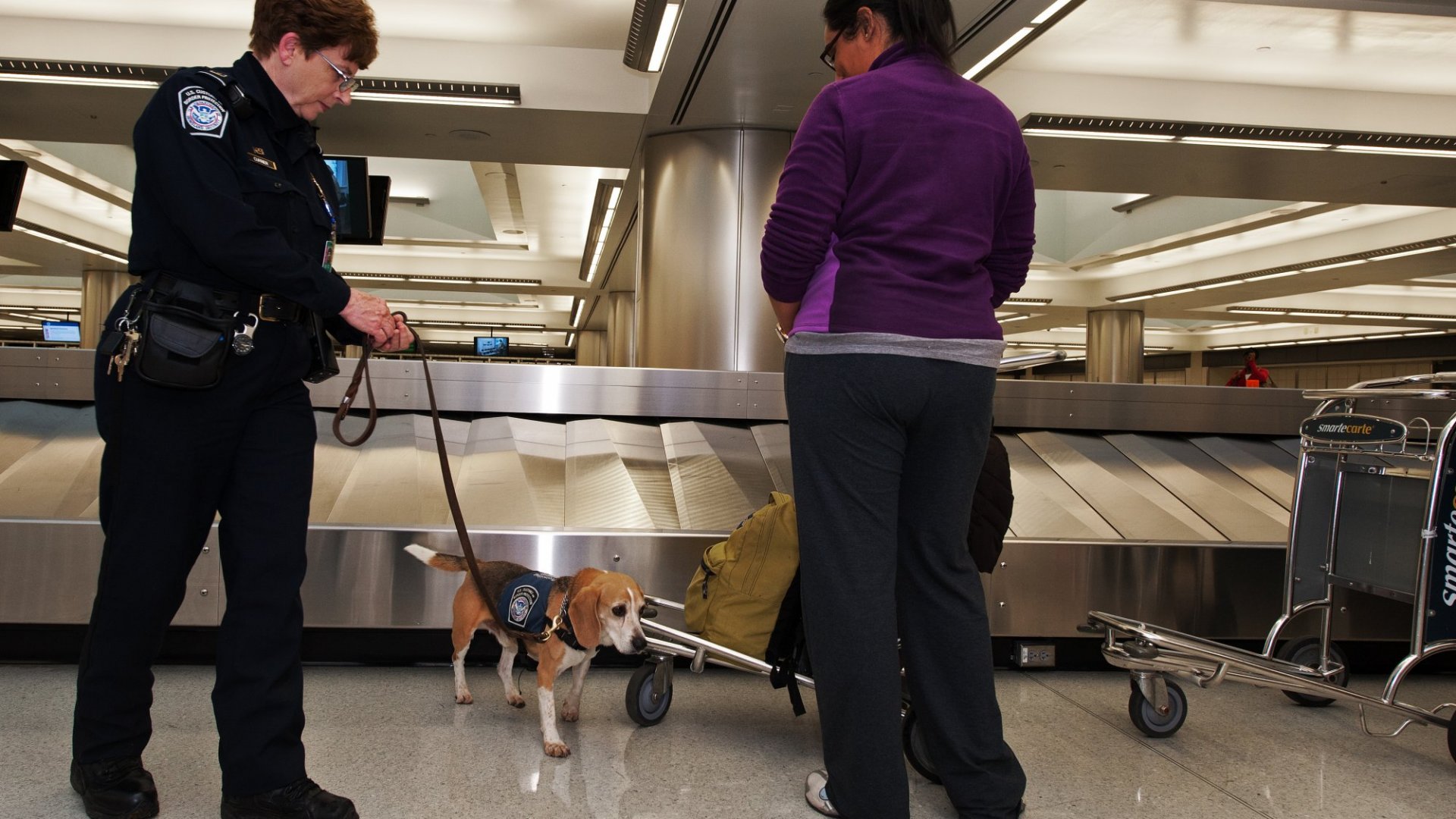 Homeland Security Department Asks Entrepreneurs to Make Wearables For ...